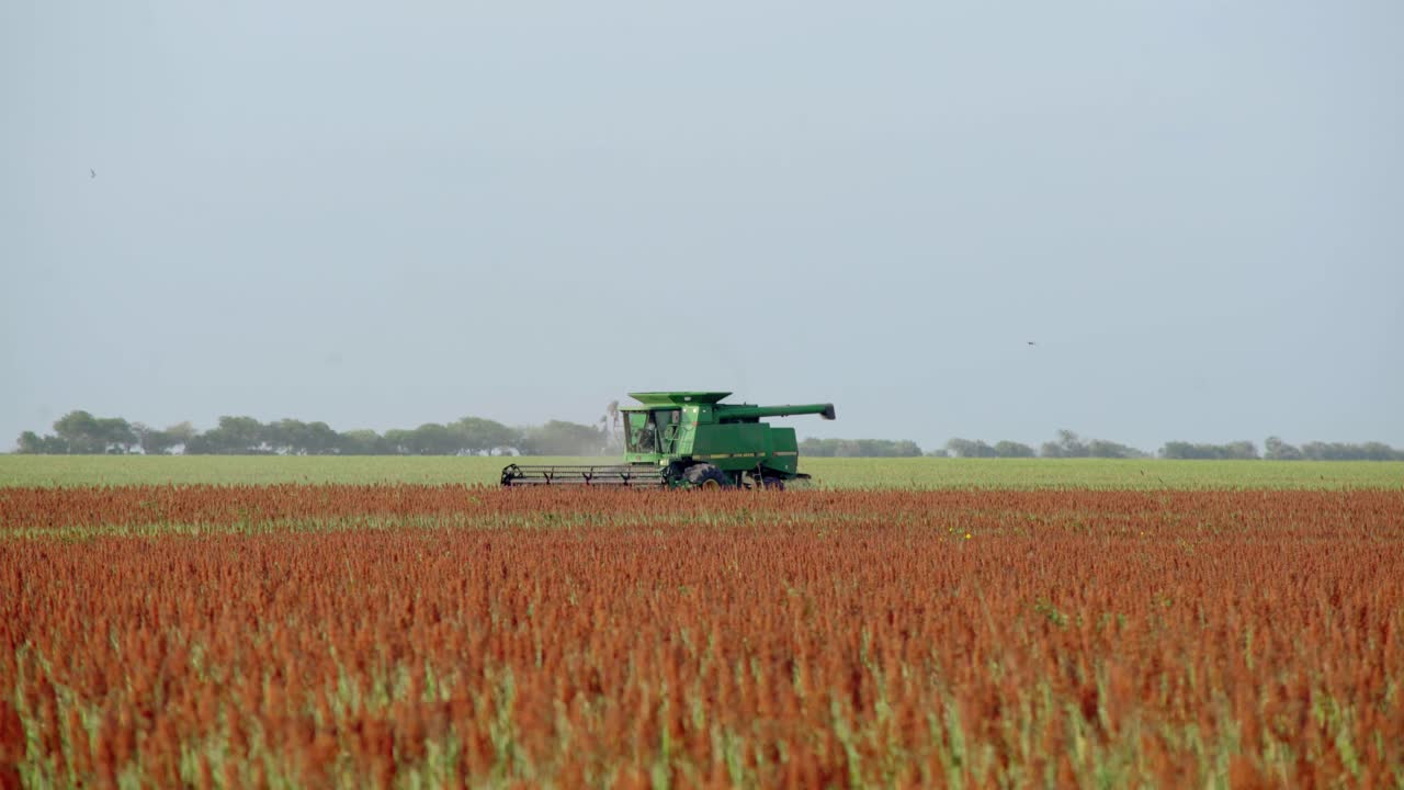 Thresher, or threshing machine, passes by on a farm field, wide shot ...