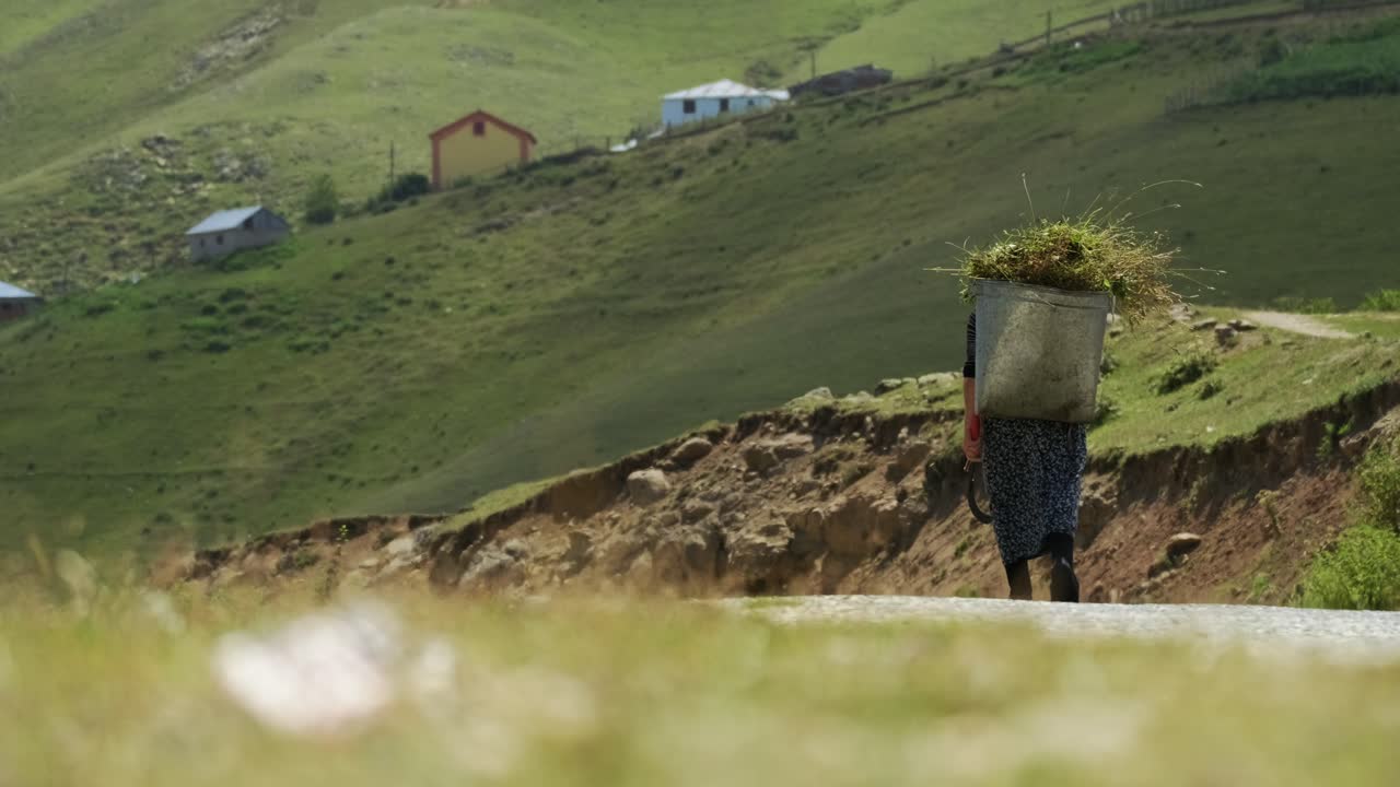 Rear View Of Villager Woman Walking In Mountains Carrying Basket Full ...