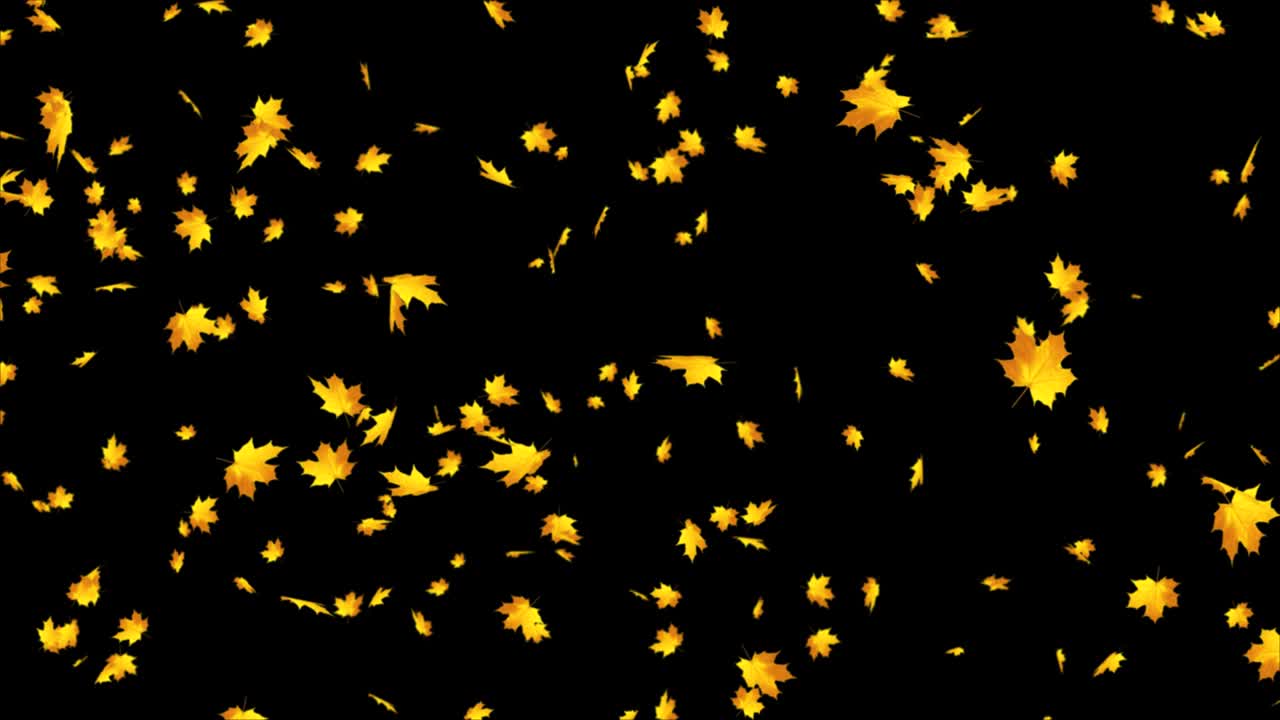 Autumn Maple Leaves Falling loop for overlay Loop background Alpha ...