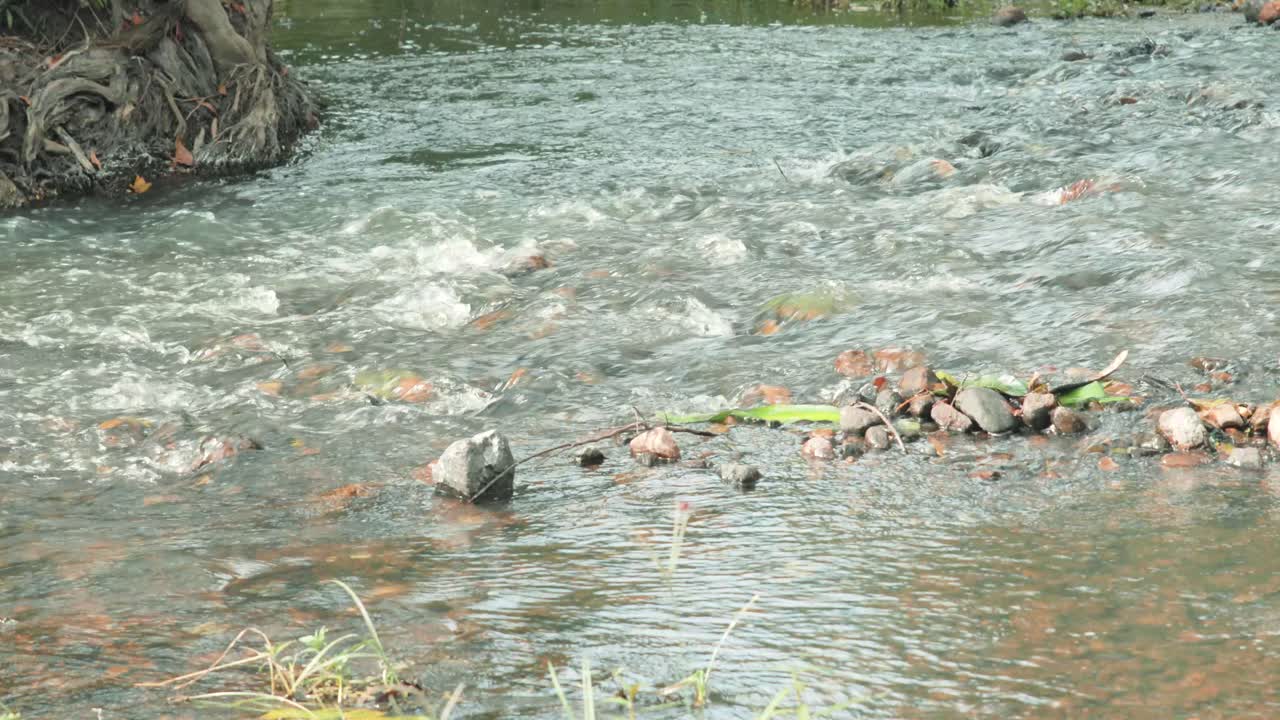 Small Shallow Stream Of Water Running Over Pebbles And Rock In Thailand ...