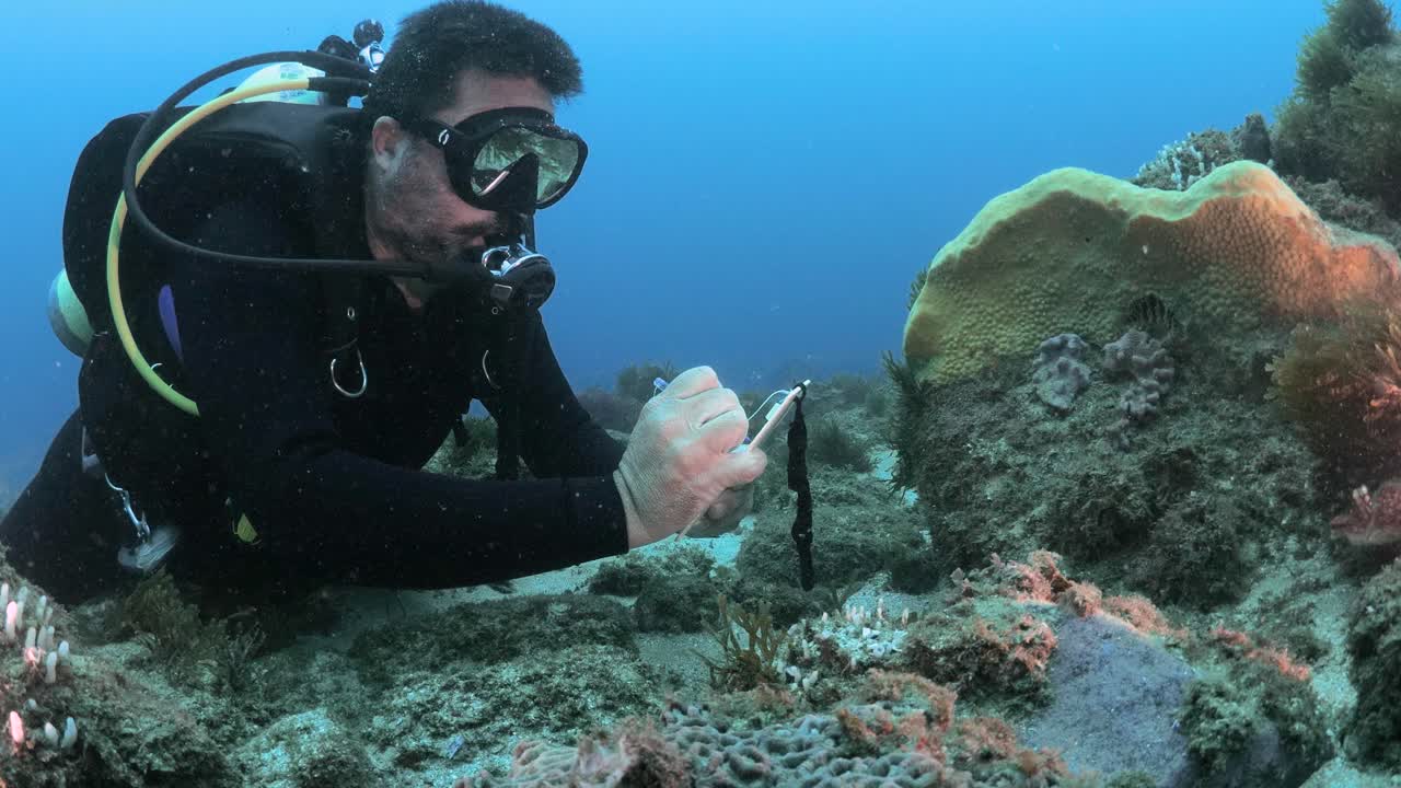 Premium stock video - Marine citizen scientist researching the great ...