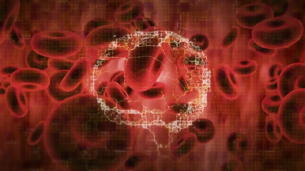 Premium stock video - Animation of human brain spinning over red blood ...