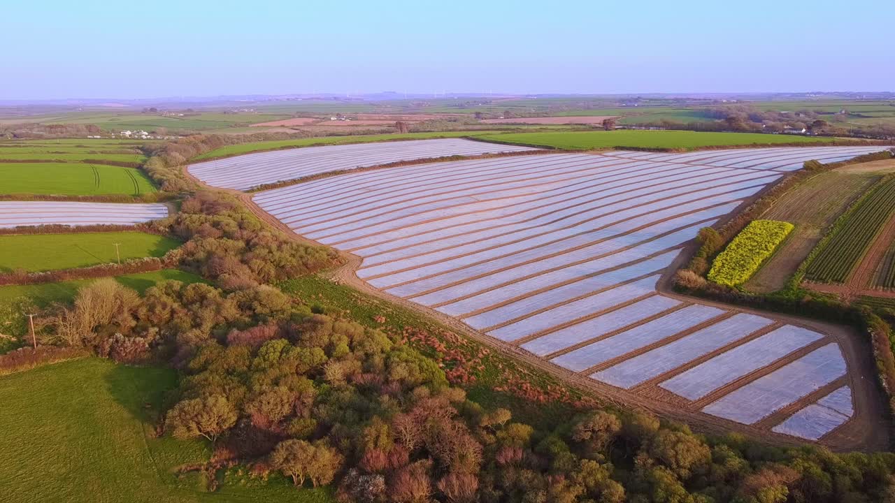 Static Aerial Shot Crop Row Covers Protecting Vegetables In Farmland ...
