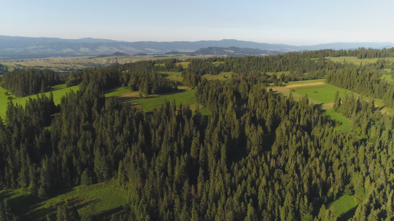 Free stock video - Flying over the beautiful forest trees landscape ...