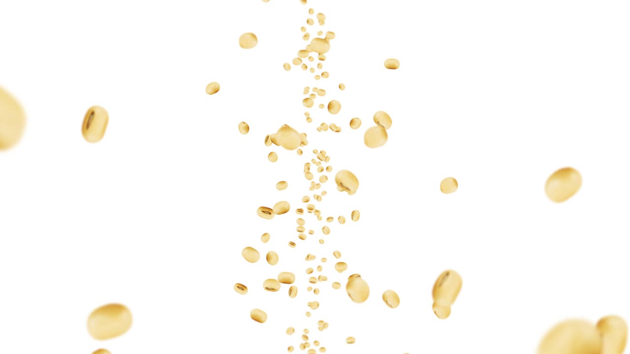 Flying many soybeans on white background. Light brown grains. Soya bean ...