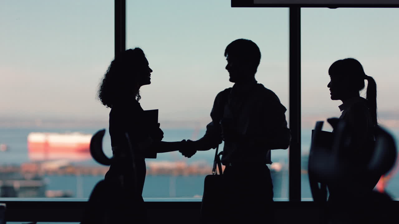 Premium stock video - Silhouette business people shaking hands ...