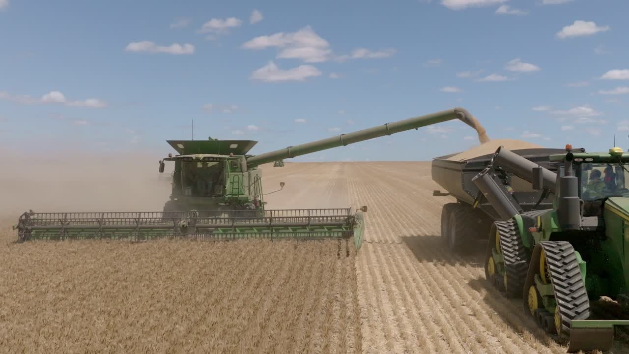 Broad Acre Grain Harvesting In Western Australia Free Stock Video ...