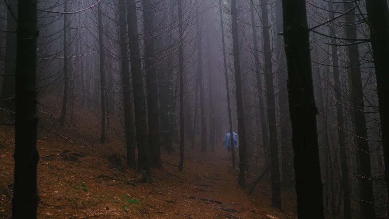 Premium stock video - Panning right wide scene shot of two hikers ...