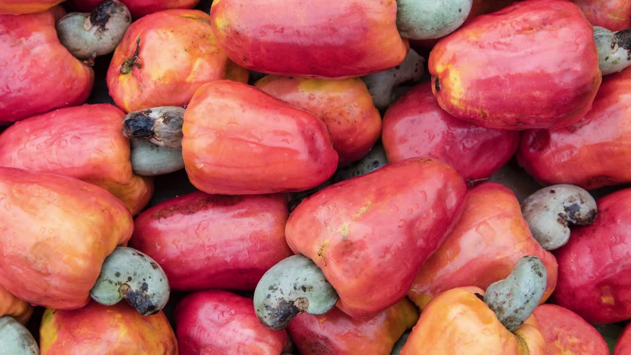 Caju Fruit Rotating Free Stock Video Footage Download Clips Agriculture