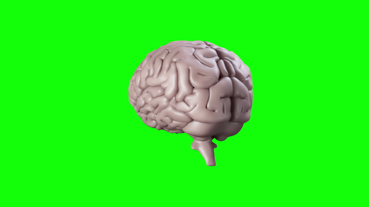 Brain spinning on green screen background Free Stock Video Footage