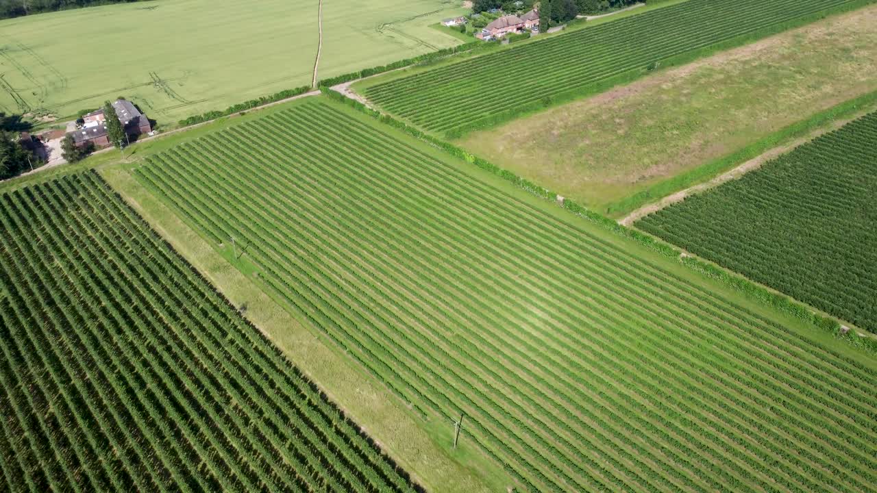 Premium stock video - Flying very high over green apple orchards in ...