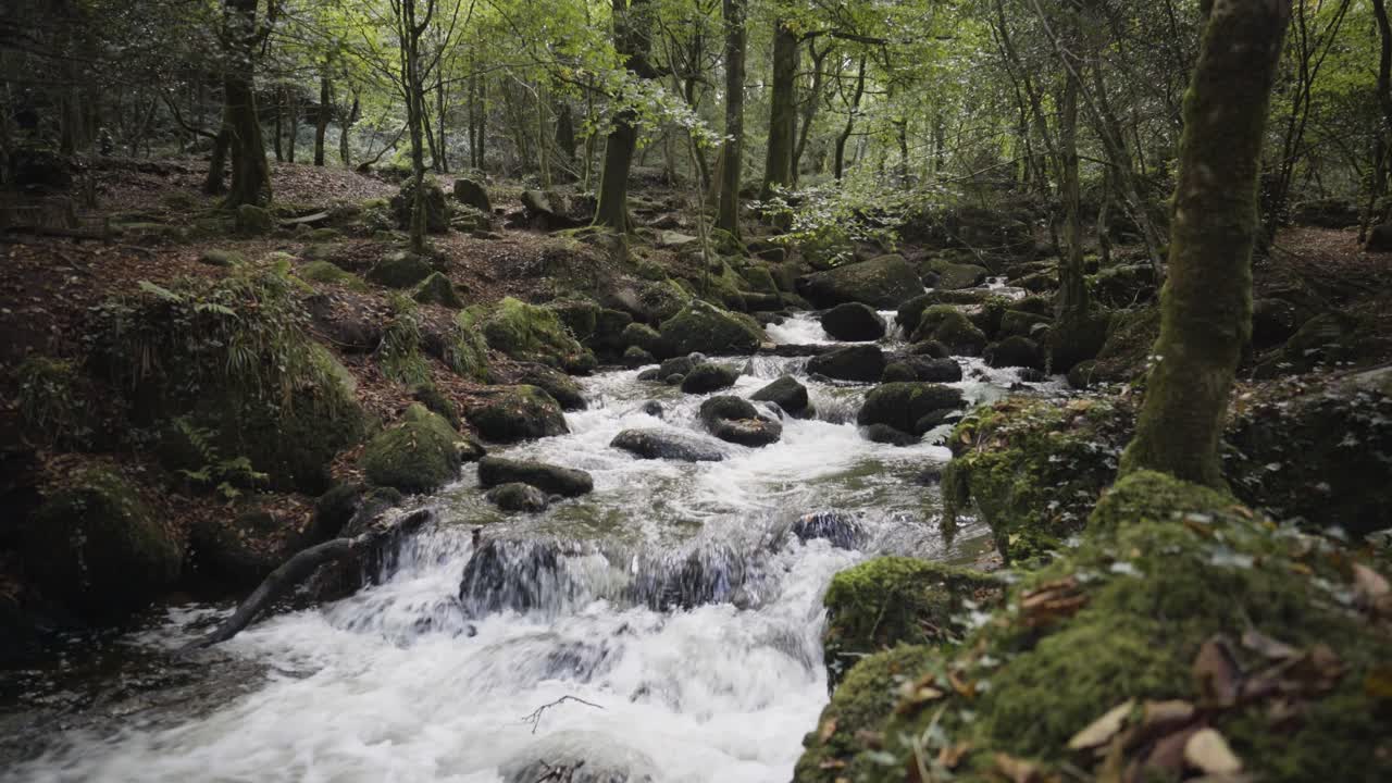 Premium stock video - Fast flowing river in the woods - kennall vale in ...