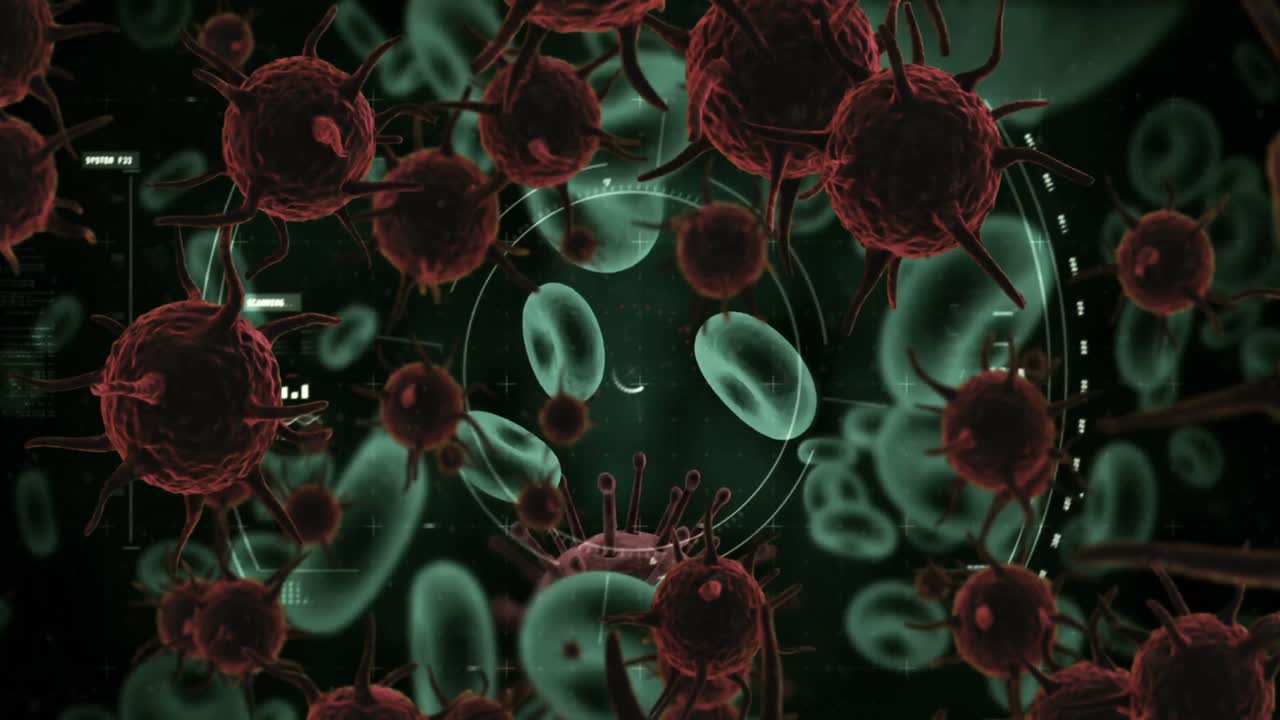 Premium stock video - Virus moving in the screen with blood cells 4k