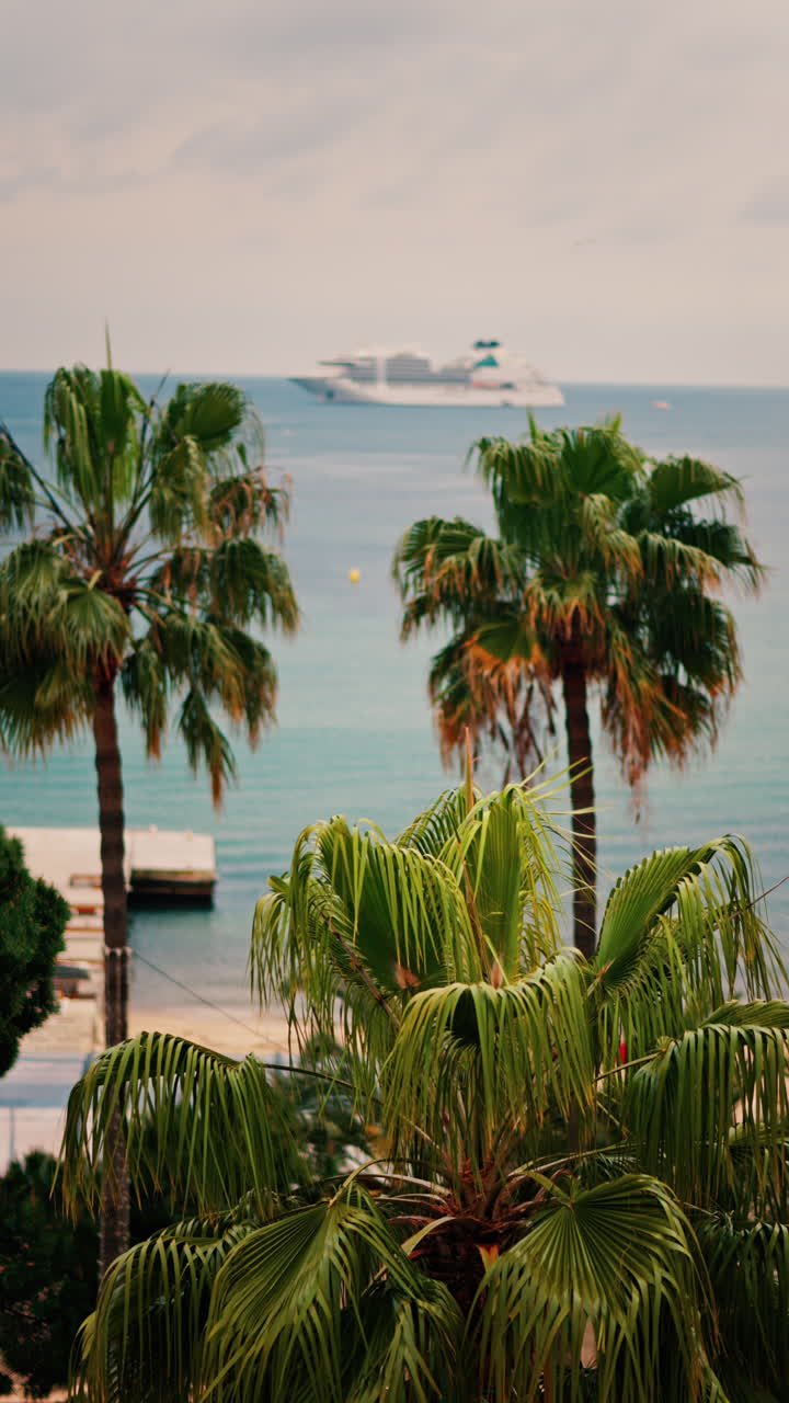 Palm trees with a distant blurred view of a white cruise ship moving on ...