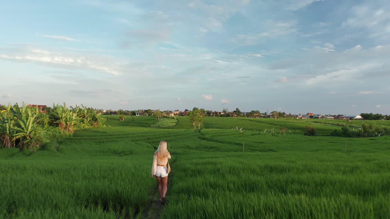 Cute Blond Woman Exploring Famous Rice Paddies Of Bali At Dawn, Aerial ...