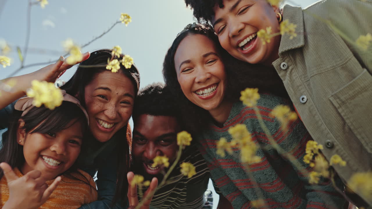 Premium stock video - People, friends and peace sign in field