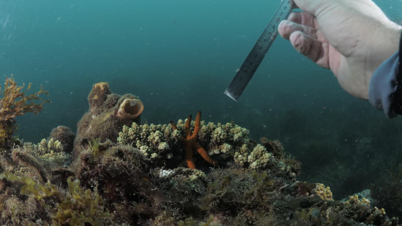 Marine Citizen Science Research Underwater Measurement And Data ...