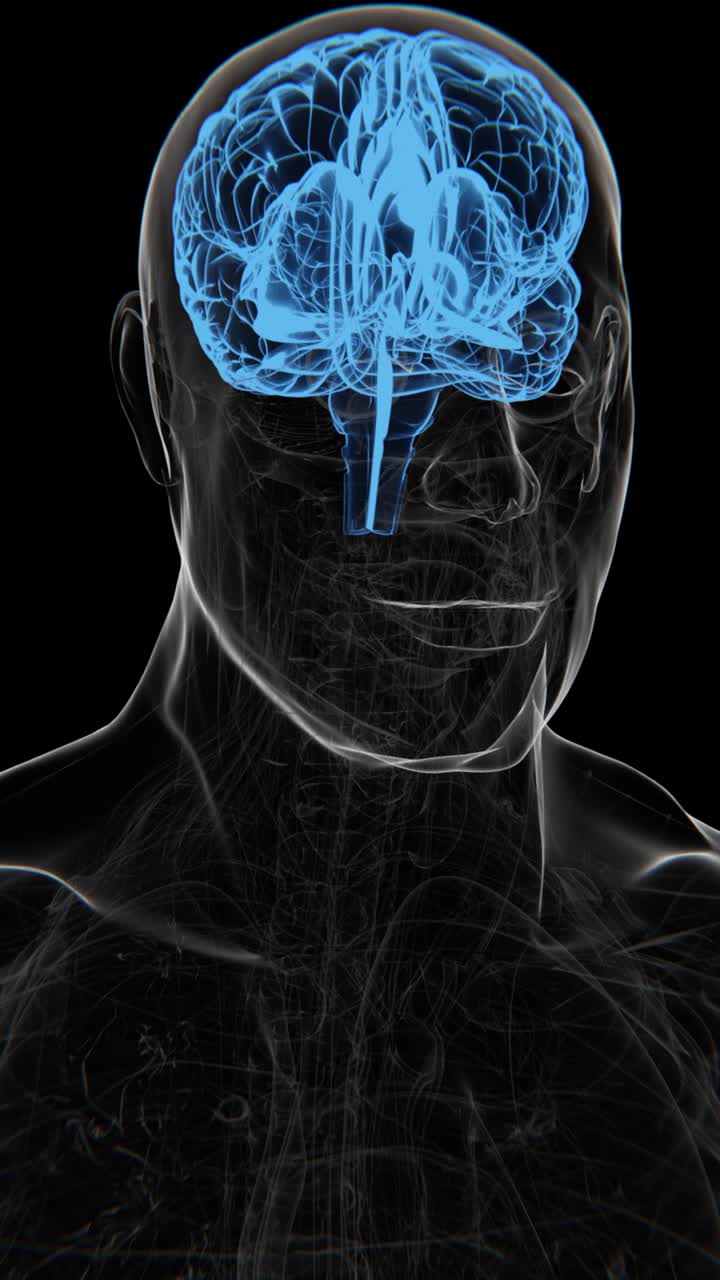 Premium stock video - Brain vertical video | human brain animation ...