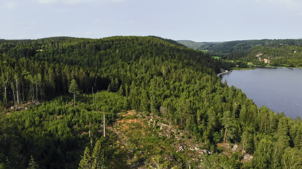 Vidéo de stock Premium - Photo aérienne en avant d'une forêt vallonnée ...