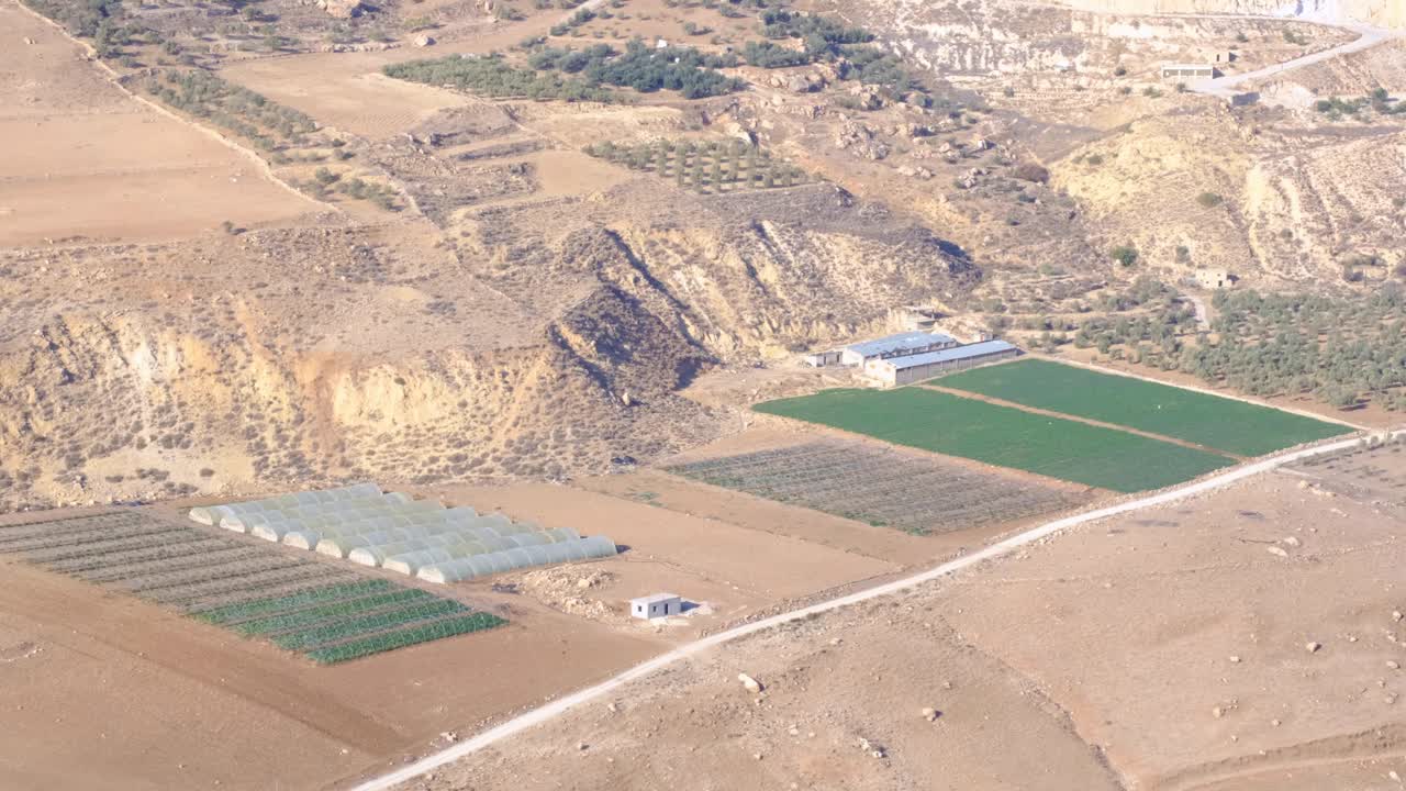 View Of Farming Industry Growing Fruit Crops In The Middle East, Jordan ...