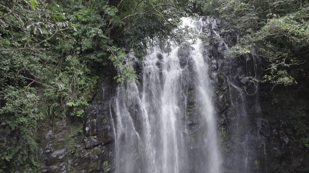 Premium stock video - Milla milla waterfall in cairns