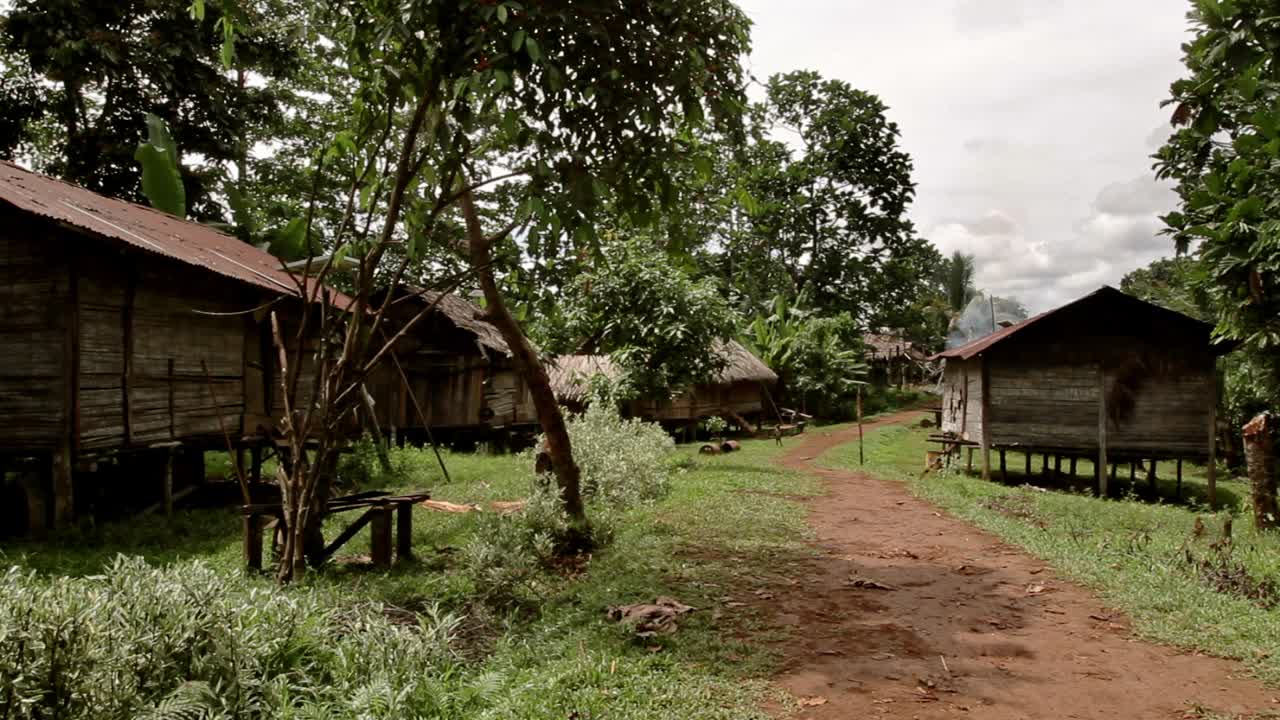 Indigenous hut neighbourhood in the jungle papua - fixed shot Premium ...