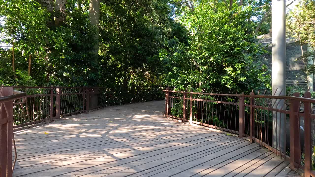 wooden path through lush greenery at melbourne zoo | freepik