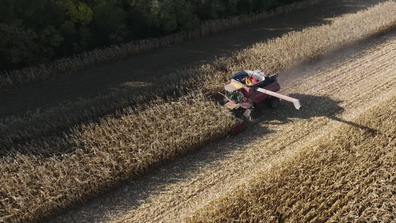 Premium stock video - Combine harvester collecting corn grain in farm ...