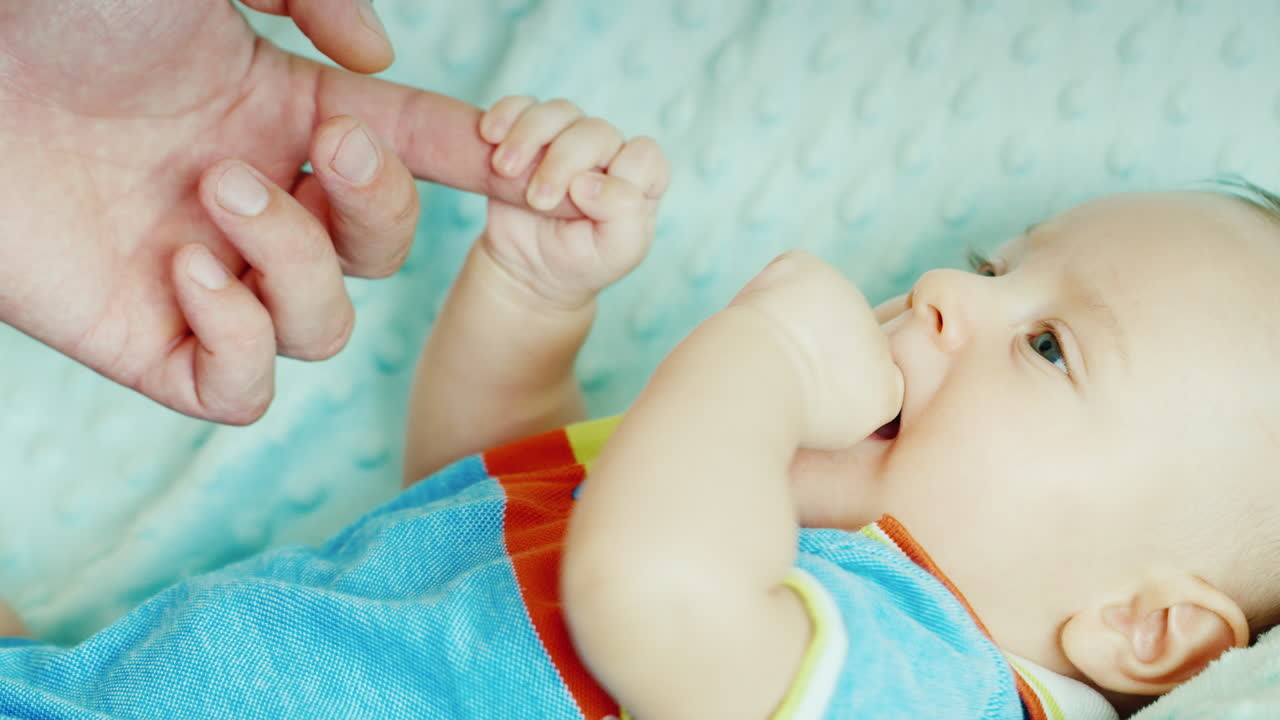 Carefree Baby Two Months Gnawing His Fist Holding The Finger Of His ...
