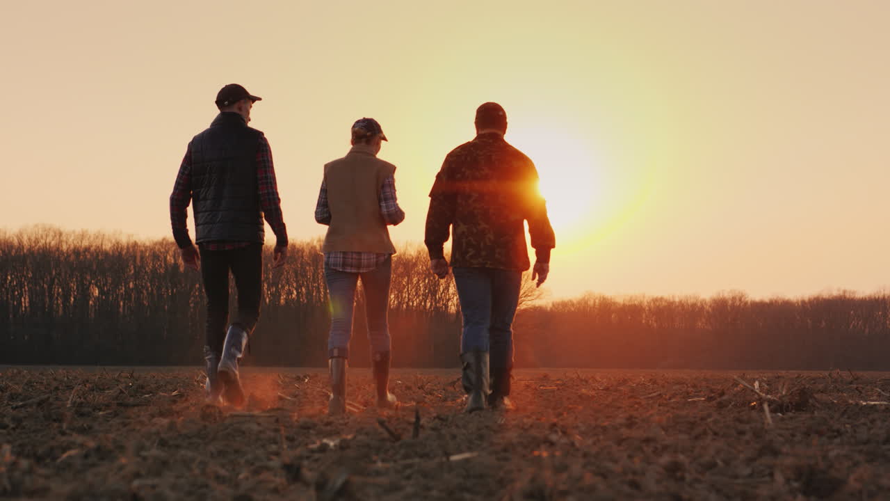 A team of young successful farmers walks across the field at sunset ...