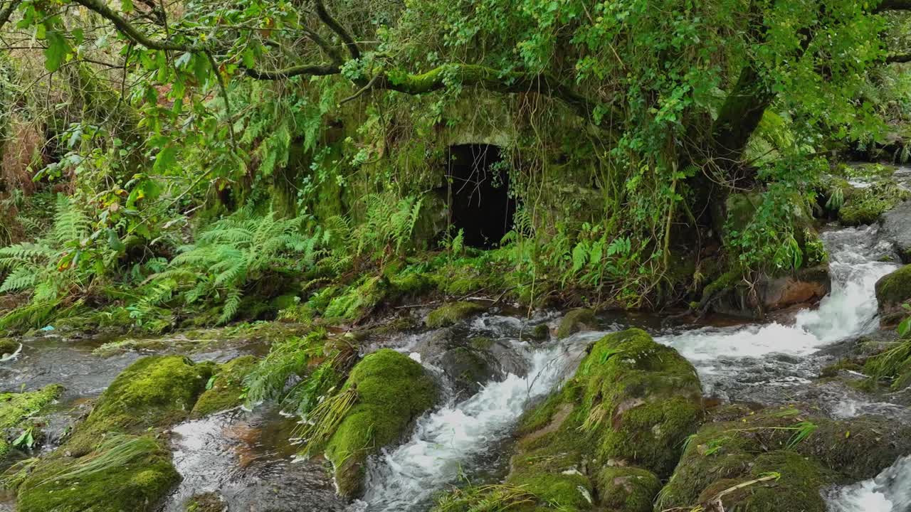 Premium stock video - Downsteam over rocks covered with moss in río ...