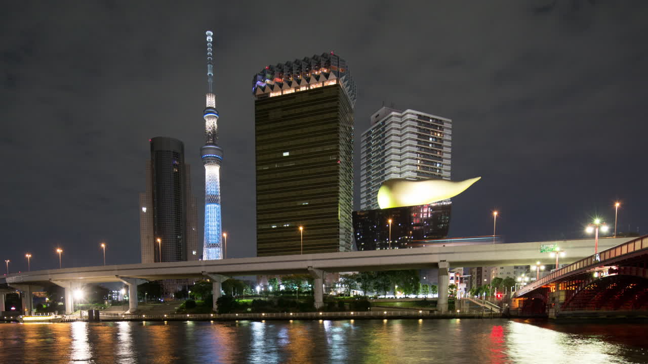 Premium stock video - Sky tree view 03