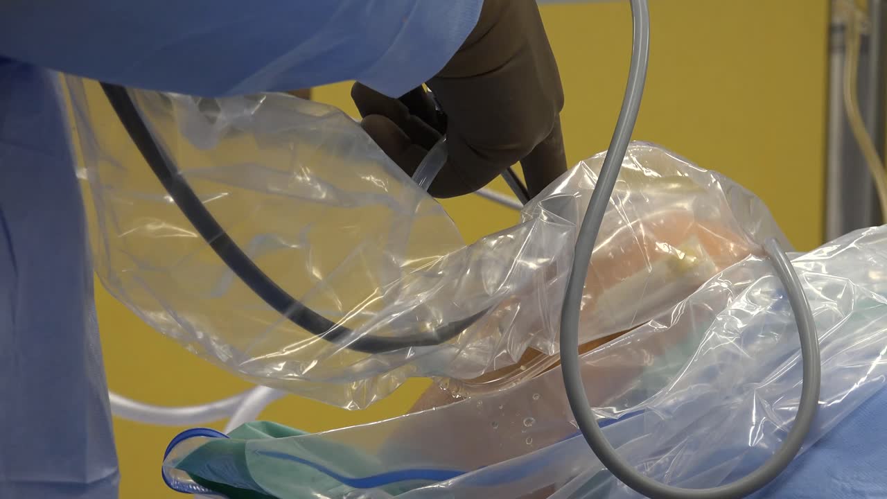 Anterior Cruciate Ligament Reconstruction Is A Surgical Tissue Graft ...