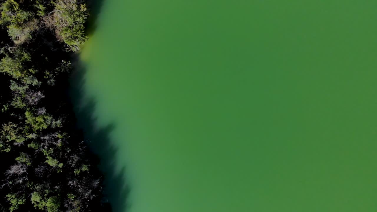 Green Deep Water Of Lake With Calm Surface Washing Green Vegetation ...