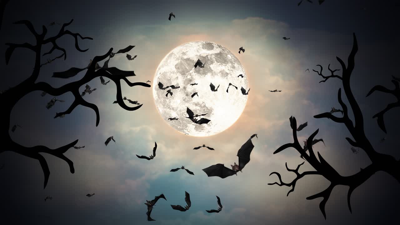 Bats Flying Around the Moon | Premium Stock Video Footage