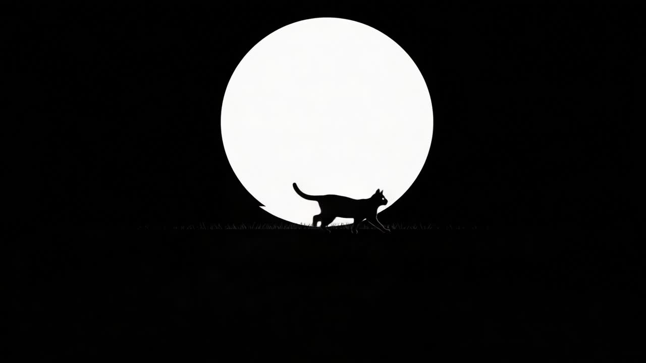 A Mysterious Cat Silhouetted Against a Full Moon, Capturing the Essence ...