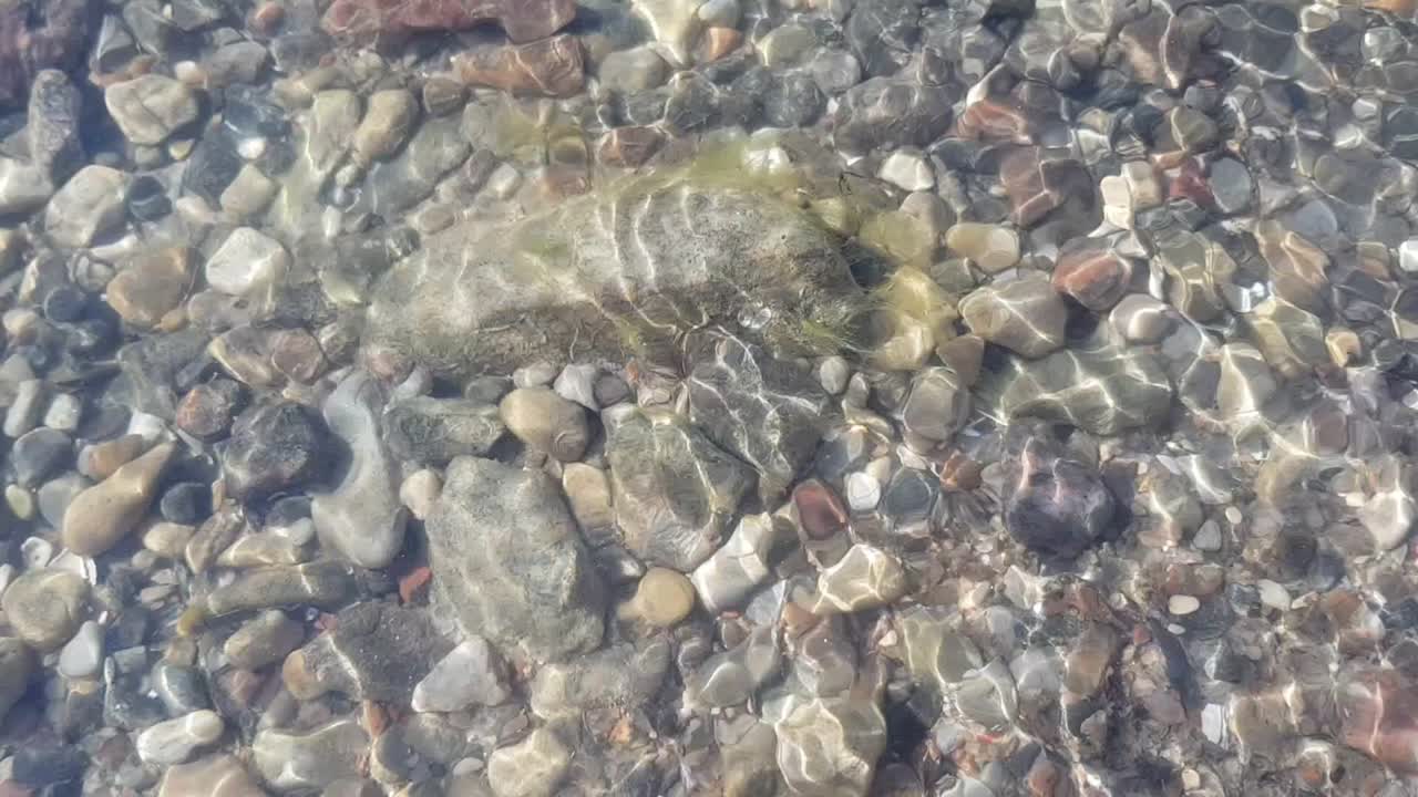 Premium stock video - Sunlight shins and wind makes water to wobble