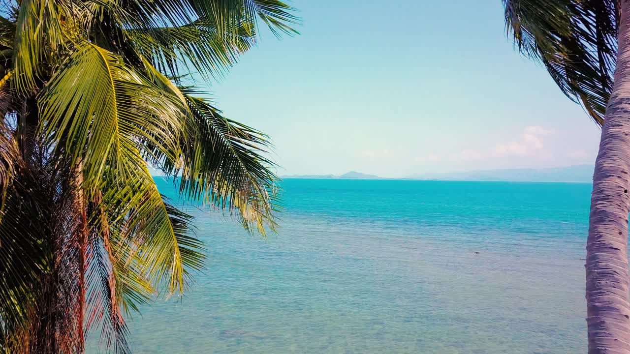 Tropical Sand Beach With Palm Trees In Sunset, Sunrise, Aerial Dolly ...