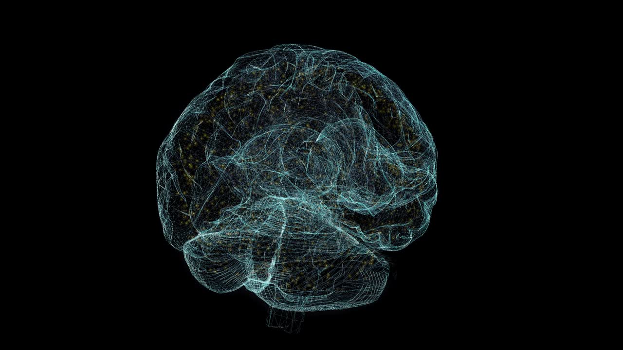 3d animation graphic design of brain and brain stem in alpha background ...