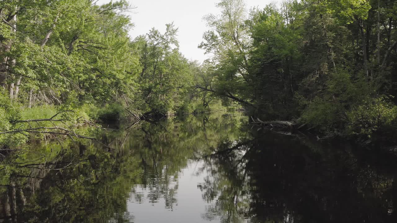 Into the Wild aerial flying up river in Summer serene | Premium Stock ...
