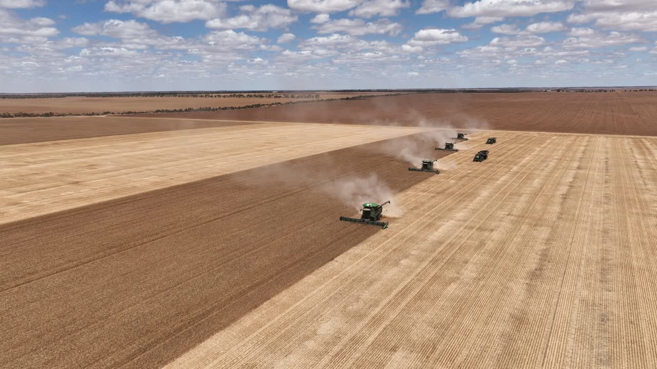 Premium stock video - Broad acre grain harvesting in western australia