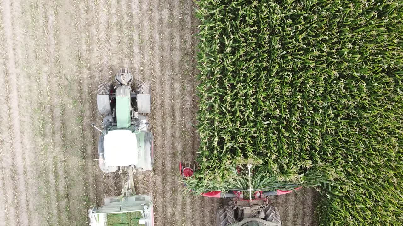 Premium stock video - Still topshot of a harvesting machine in cornfield passing by