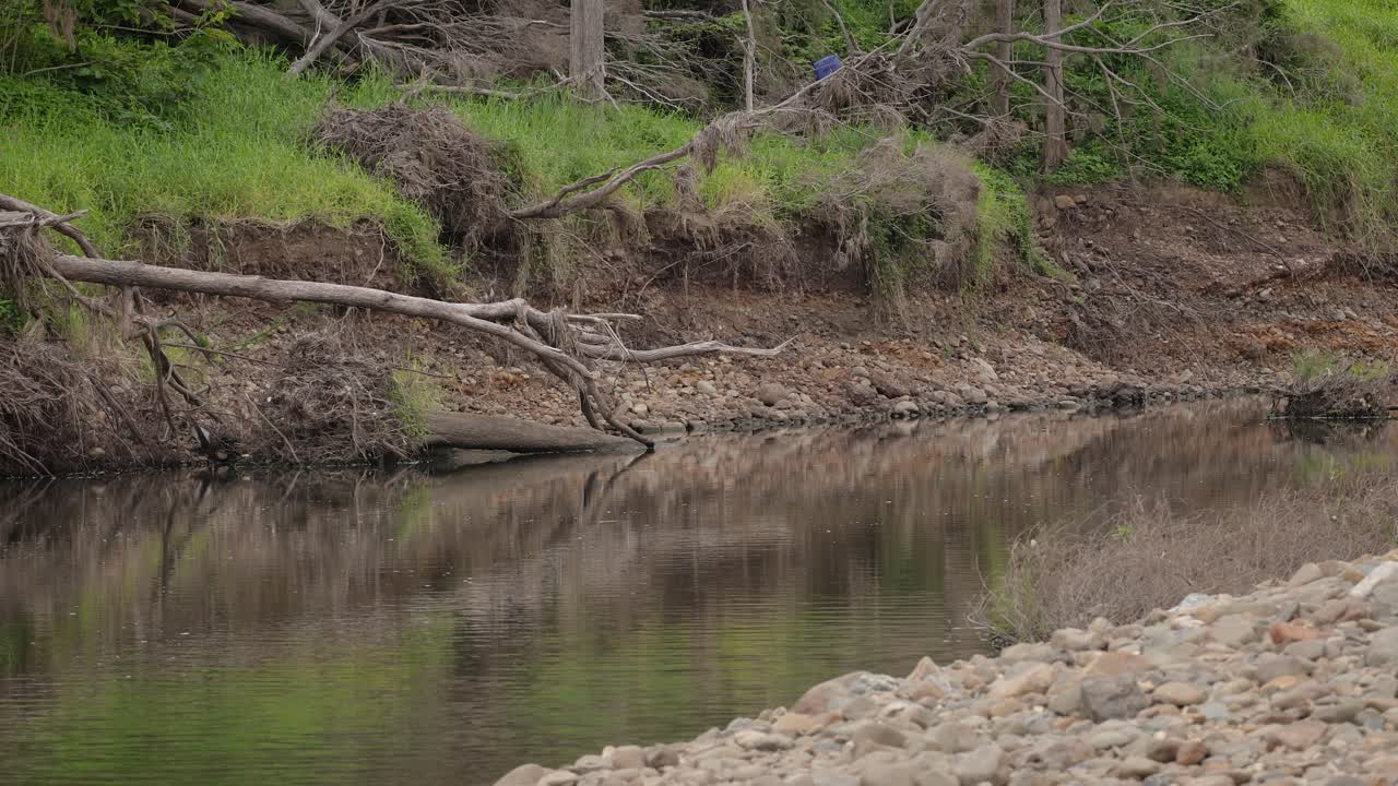erosion caused by rain and flooding along the coomera river in oxenford ...