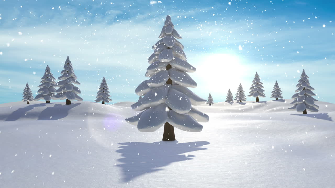Snow falling on fir tree forest at night Premium Stock Video Footage