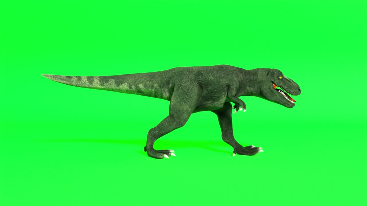 Tyrannosaurus rex running on green screen Premium Stock Video Footage