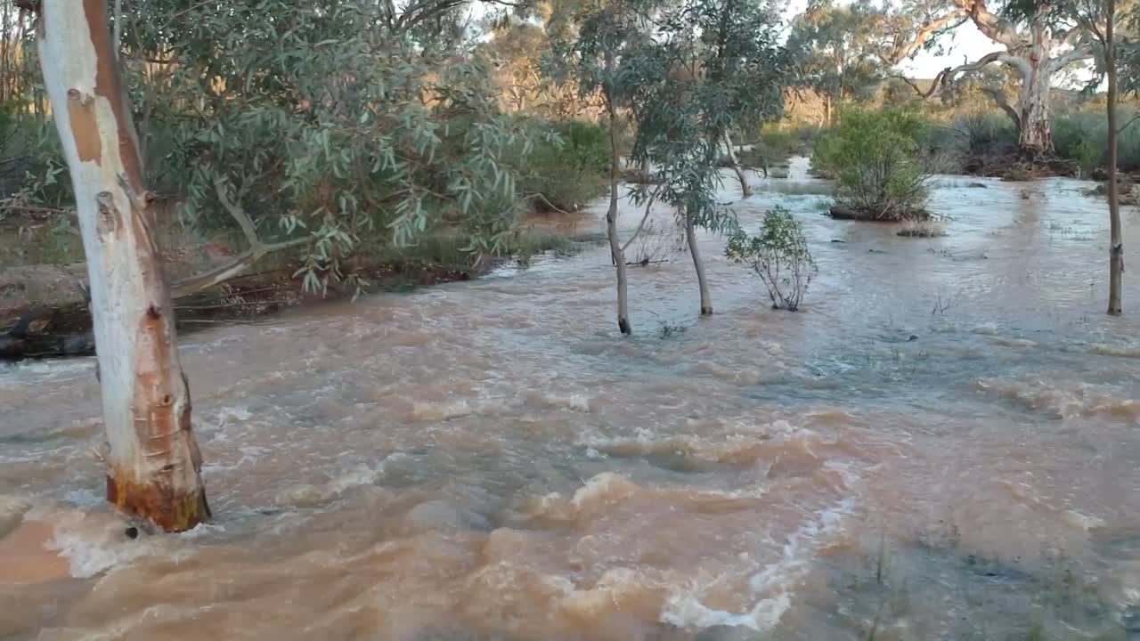 Fast running water in a flooded creek Premium Stock Video Footage