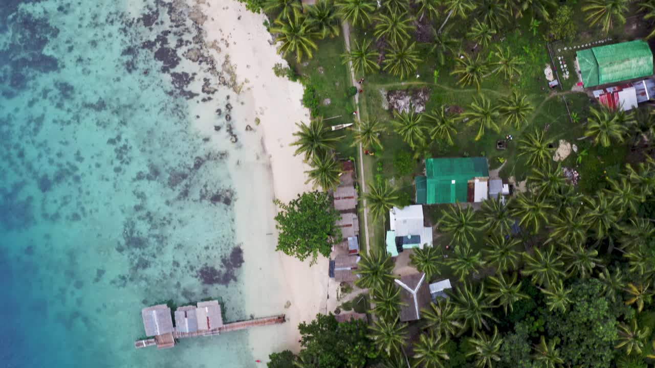 Premium stock video - Coastal landscape with palm trees and beach huts ...
