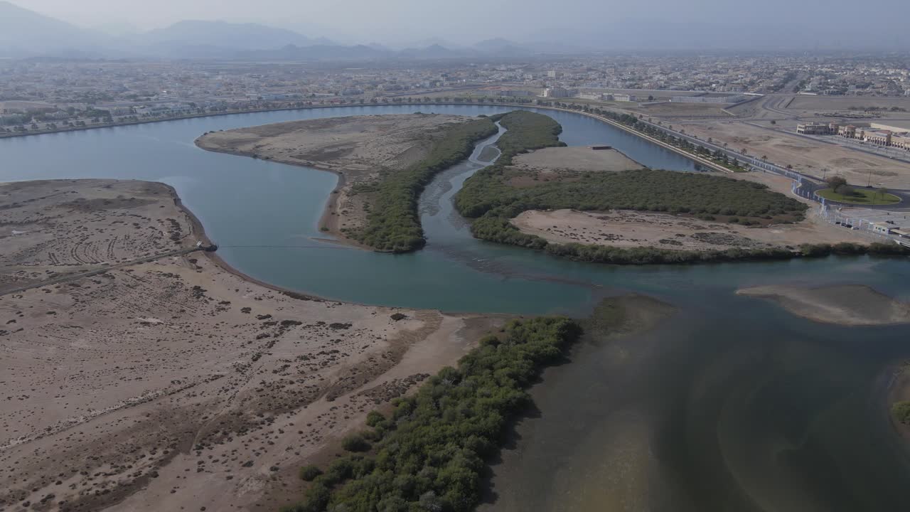 Aerial view of the kalba mangrove forest and kalba city, also known as ...
