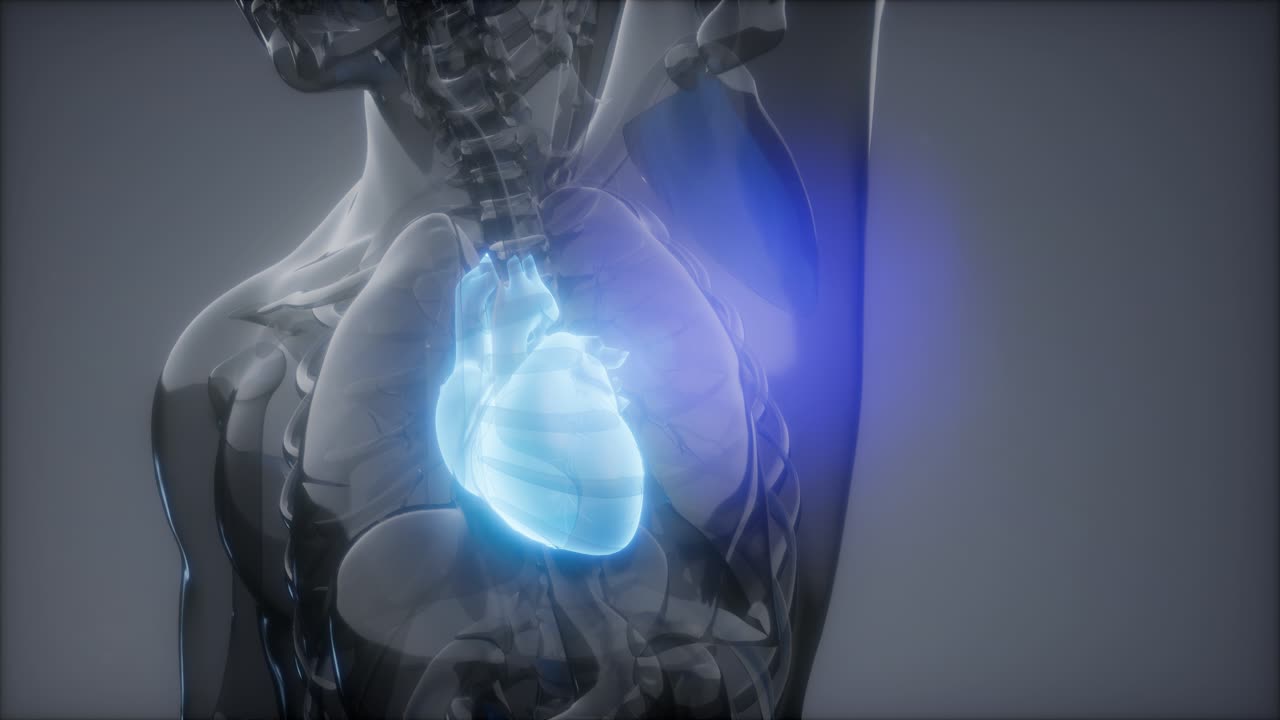 Premium stock video - Human heart radiology exam