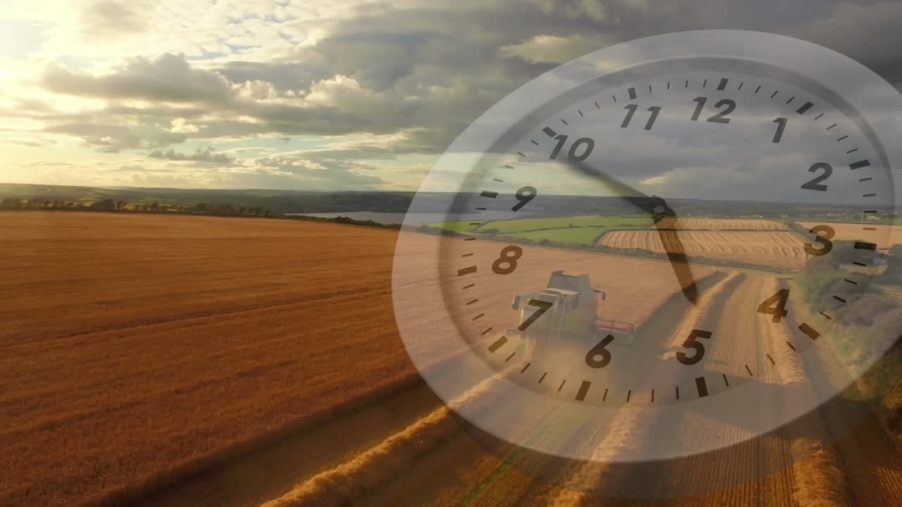 Agricultural field with clock | Premium Stock Video Footage